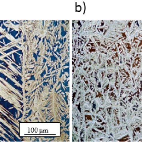 Heat Affected Zone Microstructure 316l Steel Side Download Scientific Diagram
