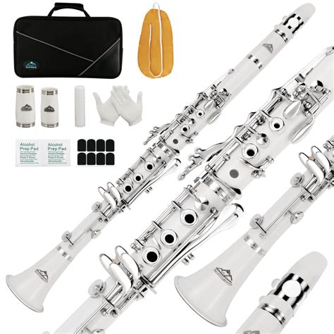 Basset Horn Vs Bass Clarinet Which Is Better Clarinet Expert