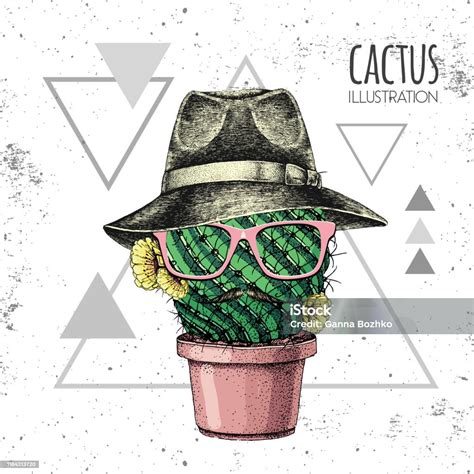 콧수염과 모자와 엉덩이 선인장 그리기 손 그런지 삼각형 배경의 벡터 일러스트레이션 가시에 대한 스톡 벡터 아트 및 기타 이미지 가시 계절 그래픽 프린트 Istock
