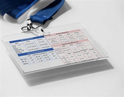 Echo Badge Guide Quick Reference And Cheat Sheet Guidelines