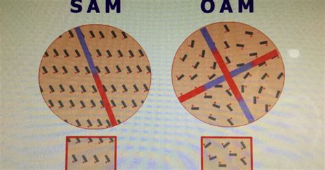 Physics Explained Spin And Orbital Angular Momentum