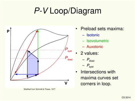 Ppt The Australian National University Powerpoint Presentation Free