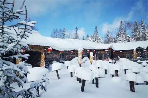New Peter 的 Blog 雪景