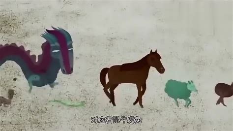 十二生肖的顺序到底是根据什么排定的 腾讯视频
