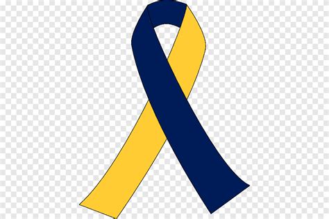 인식 리본 블루 리본 암 옥수수 남쪽 푸른 각도 Png Pngegg