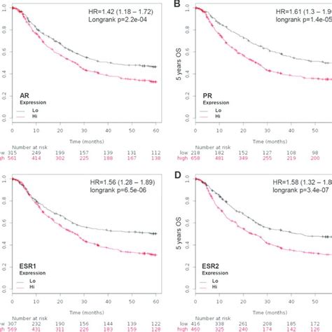 Km Plotter Evaluation Of Sex Hormone Nuclear Receptors Including Ar Download Scientific