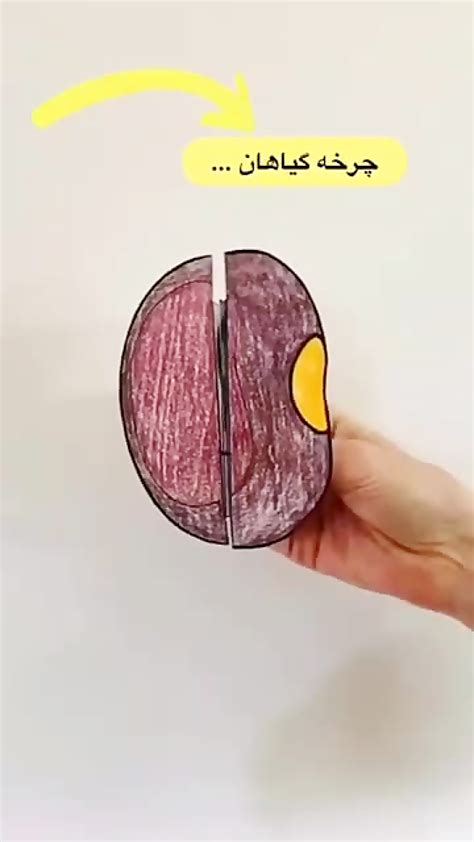 آموزش کاردستی بسیار جذاب و علمی