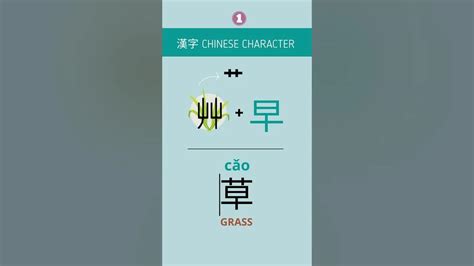 Learn Traditional Chinese like playing puzzle radical 艸 艹part1
