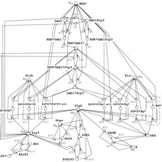 Reactions After Second Step Of Simplification Download Scientific Diagram