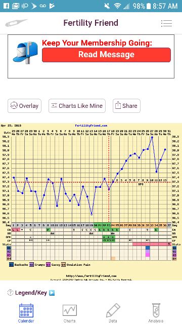 Does This Look Like A BFP Chart Glow Community