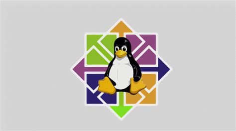 How To Check Centos Version Coding Campus