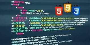 Expert HTML CSS JAVASCRIPT