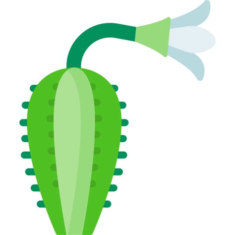Echinopsis Special Flat Icon