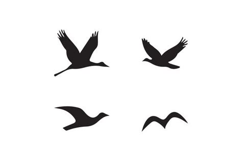 Bird Flying Animation Vector Art Icons And Graphics For Free Download