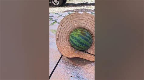 수박모자 내머리사이즈수박 Youtube