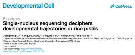 Dev Cell 俞皓团队绘制水稻雌蕊单细胞转录组图谱，为发育生物学研究提供新视野 知乎