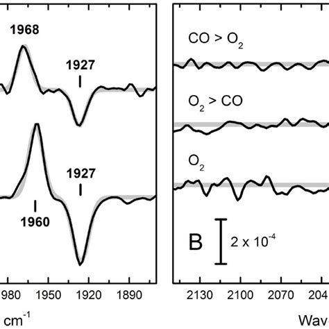 H2o2 Ir Difference Spectrum Of Hypcdmc Fig 3a Negative Features