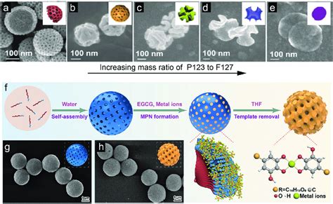 Soft Template Directed Synthesis Of Mesoporous Phenolic Particles Download Scientific