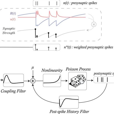 The Modification Function Estimated Using The Generalized Bilinear