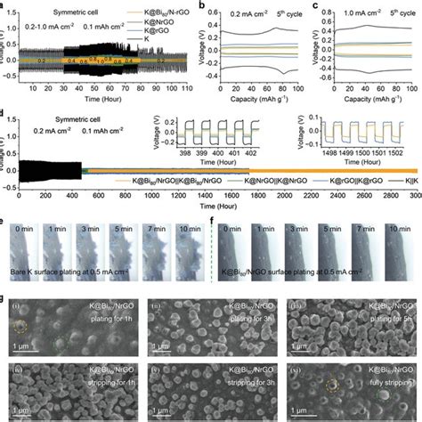 Electrochemical Properties Tests Of Symmetric Cells And Investigation