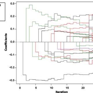 Coefficient Paths For Spatial Scale Incremental Forward Stagewise