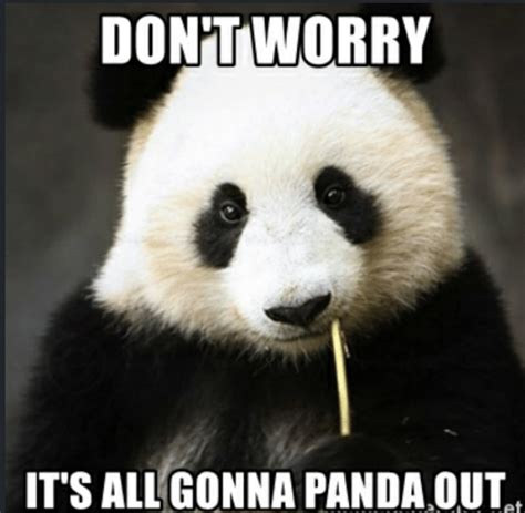 5 Gotchas With Pandas Doing Data Analysis With Pandas Is By Roman