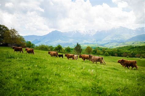 Нашето стопанство