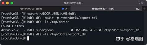Apache Doris 数据导出 HDFS 知乎