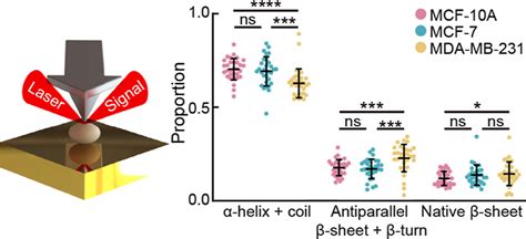 Single Vesicle Infrared Nanoscopy For Noninvasive Tumor Malignancy
