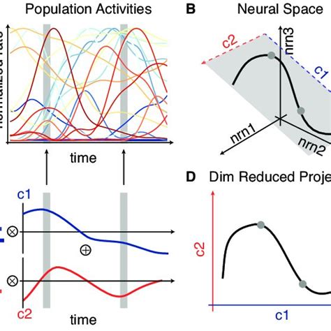 Conceptual Overview Of State Space Dynamics Through Dimensionality Download Scientific Diagram