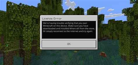 [bedrock] Mcpe My Minecraft Had A License Error And Never Seen One Of These Help R Minecrafthelp