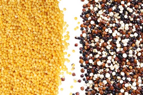 Corn Vs Quinoa At Beth Heard Blog