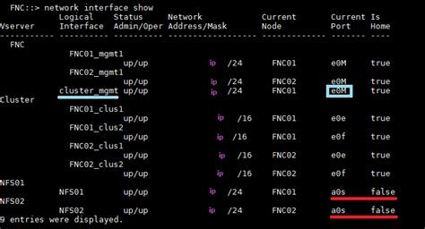 Reboot Bad Home Port Cluster And Nfs Netapp Community