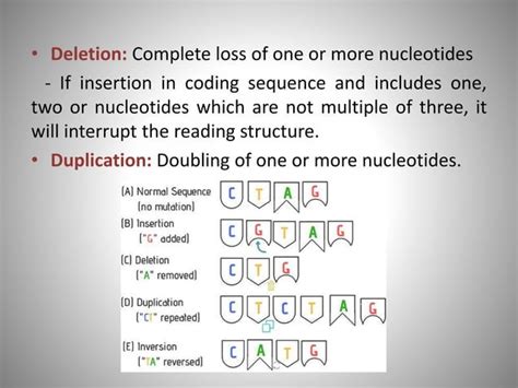 Concept Of Mutation And Its Classification Pptx Genetics Science