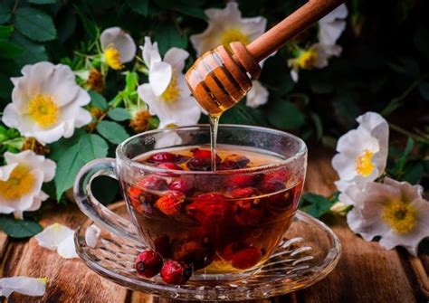 Шиповник Полезные свойства и Противопоказания Отзывы