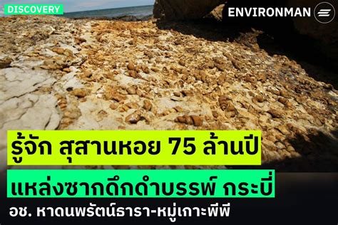 Environman Discovery รู้จัก สุสานหอย 75 ล้านปี