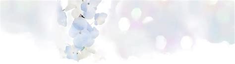 海报背景图png图片素材下载图片编号qbbwrrom 免抠素材网