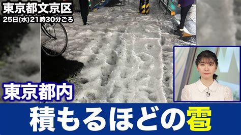 ゲリラ雷雨東京都内で積もるほどの雹雷雨や雹などに注意 YouTube