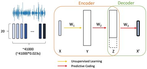 논문 리뷰 Developmental Predictive Coding Model For Early Infancy Mono