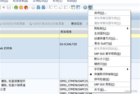Sap使用小技巧sap设置显示技巧 Csdn博客