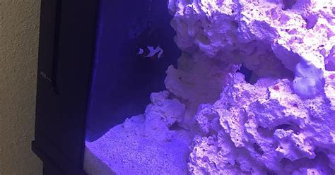 Location Album On Imgur