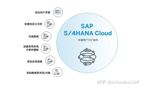 如何确保企业数字化转型的持续拓展：探索sap Erp公有云的解决之道 知乎