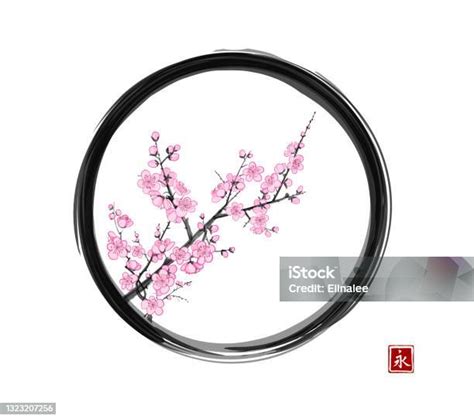 검은 엔소 선 원에 동양 벚꽃 의 꽃 가지 전통적인 동양 잉크 페인팅 스미e U죄 고화 사쿠라 매화 꽃 상형 문자 영원 0명에 대한 스톡 벡터 아트 및 기타 이미지 Istock