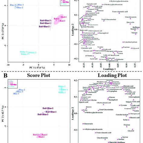 score and loading plot of the pca a and pls da b models of the