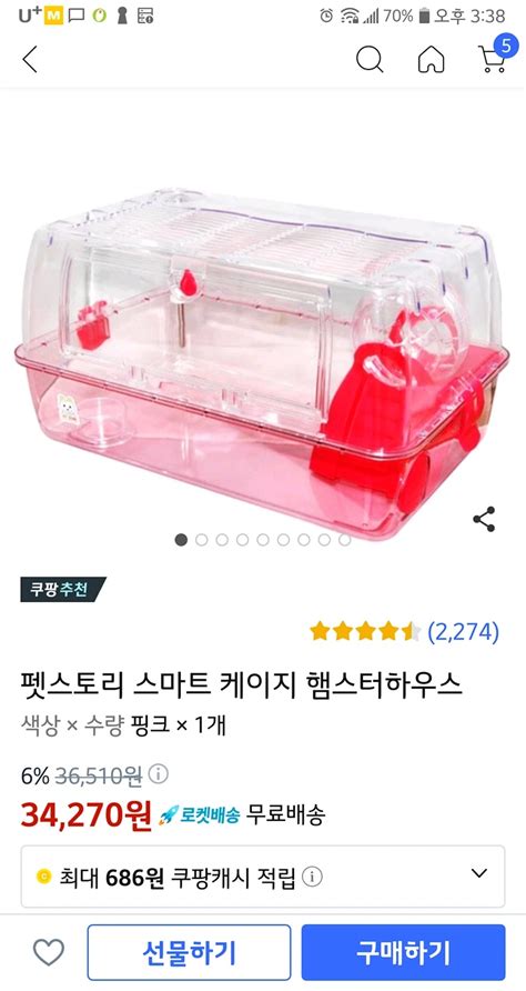 햄스터 쳇바퀴 디깅박스 코코 당근 중고거래