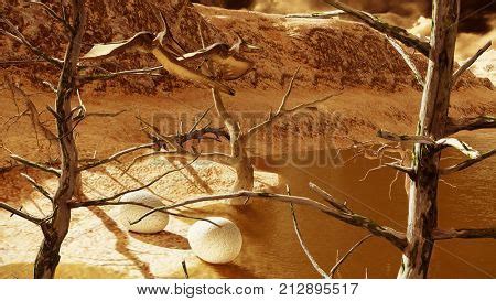 Egg Pterodactyl D Image Photo Free Trial Bigstock