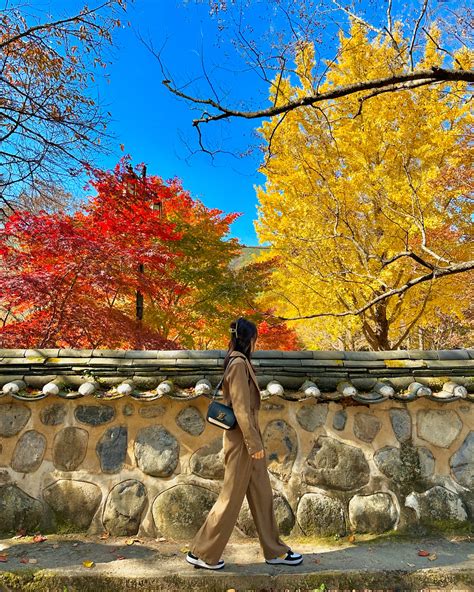 제인즈빌 국내여행국내숙소여행맛집카페 평소에 장이 민감한 편이라☺ 여행을 가야할 때 속이 아플까 걱정되는일이 많았어요ꕀ 그러다가 알게된 유산균 제품
