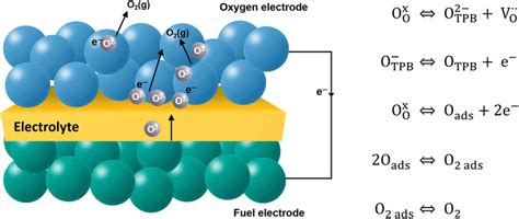 Schematic Description Of The Oxygen Evolution Reaction Oer At The Download Scientific Diagram
