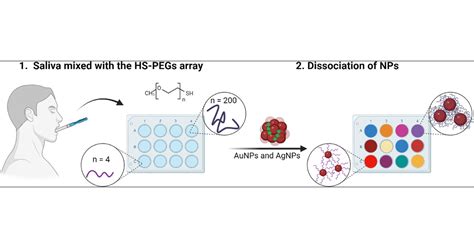 Matrix Insensitive Sensor Arrays Via Peptide Coated Nanoparticles Rapid Saliva Screening For