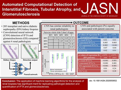 computational segmentation and quantification of interstitial fibrosis